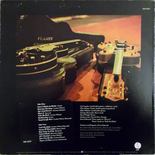 Buy The Flamin' Groovies: Now (LP, Album, Win) Vinyl Record Online for ...